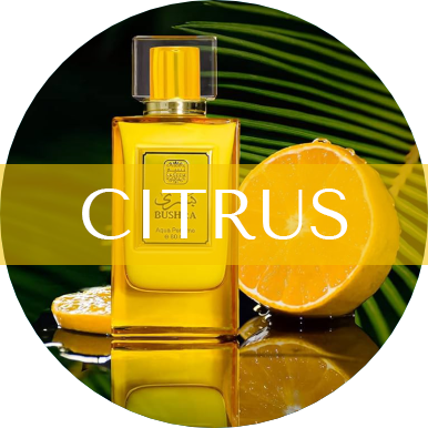 Citrus Perfumes Fresh & Zesty Fragrances | Perfume Palace